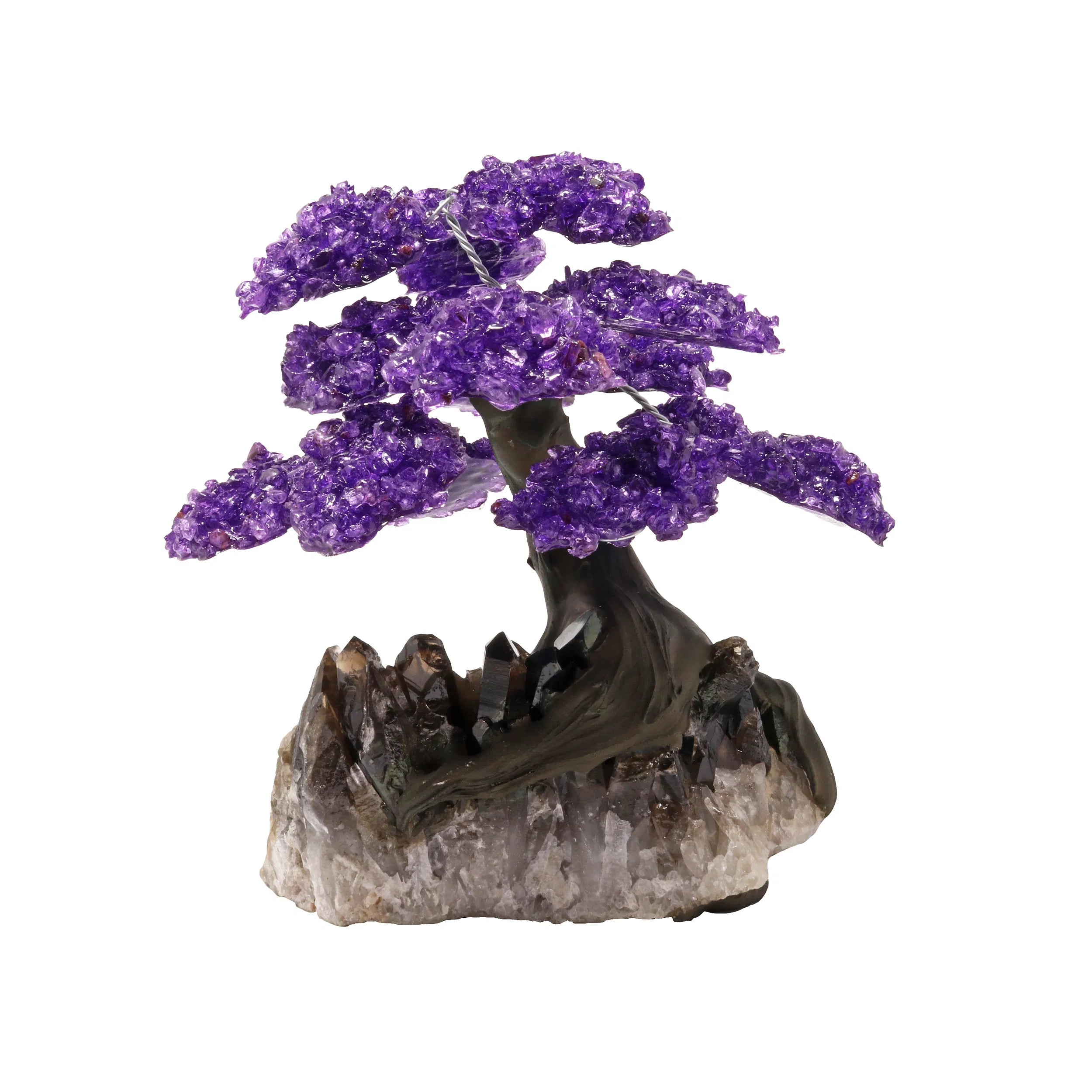 Amethyst Trees - Rare Earth Gallery