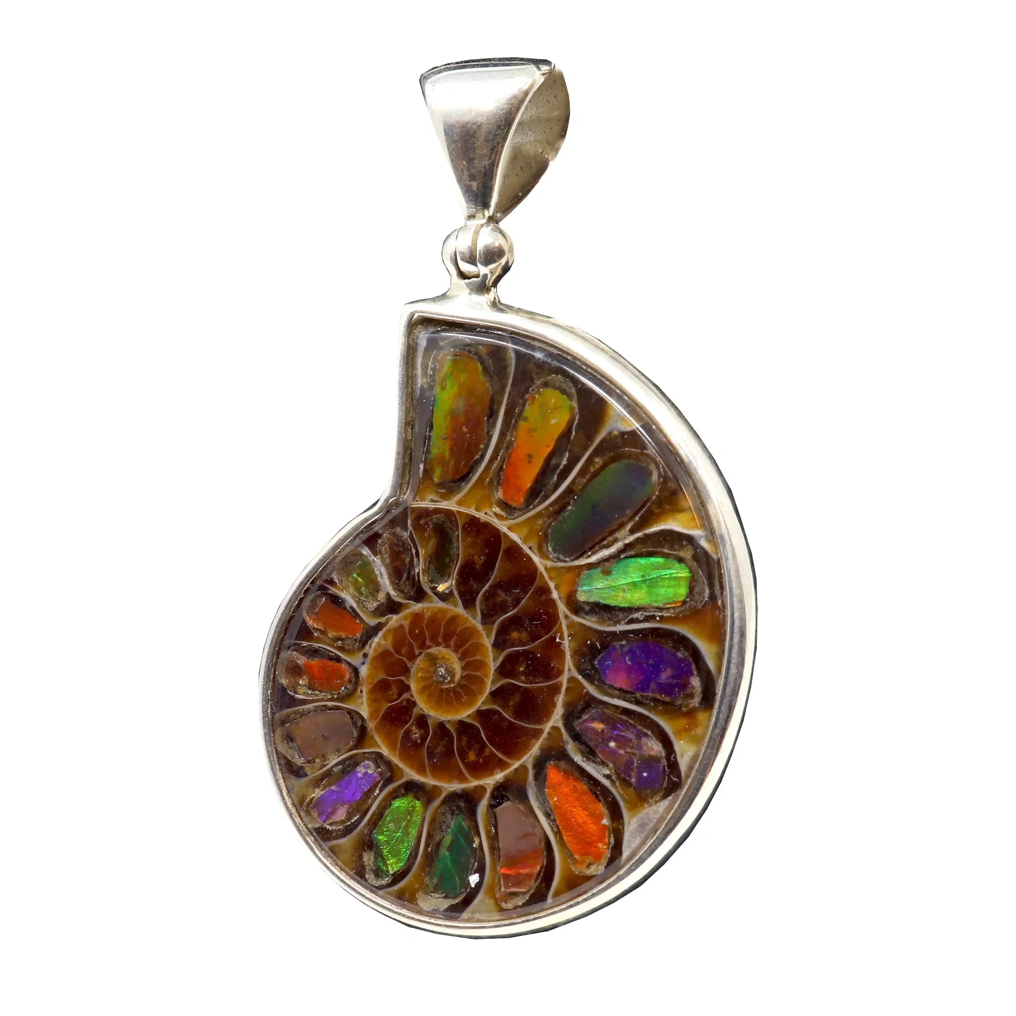 Authentic Fossil Jewelry - Rare Earth Gallery