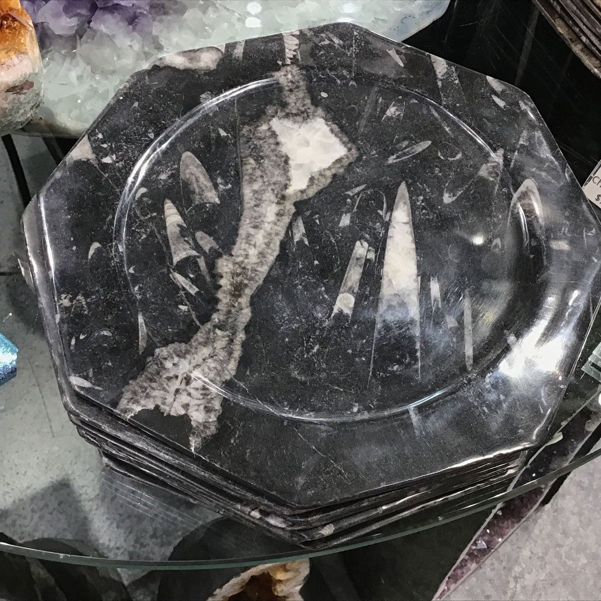 Orthoceras Seabed Octagonal Charger Plate – Rare Earth Gallery