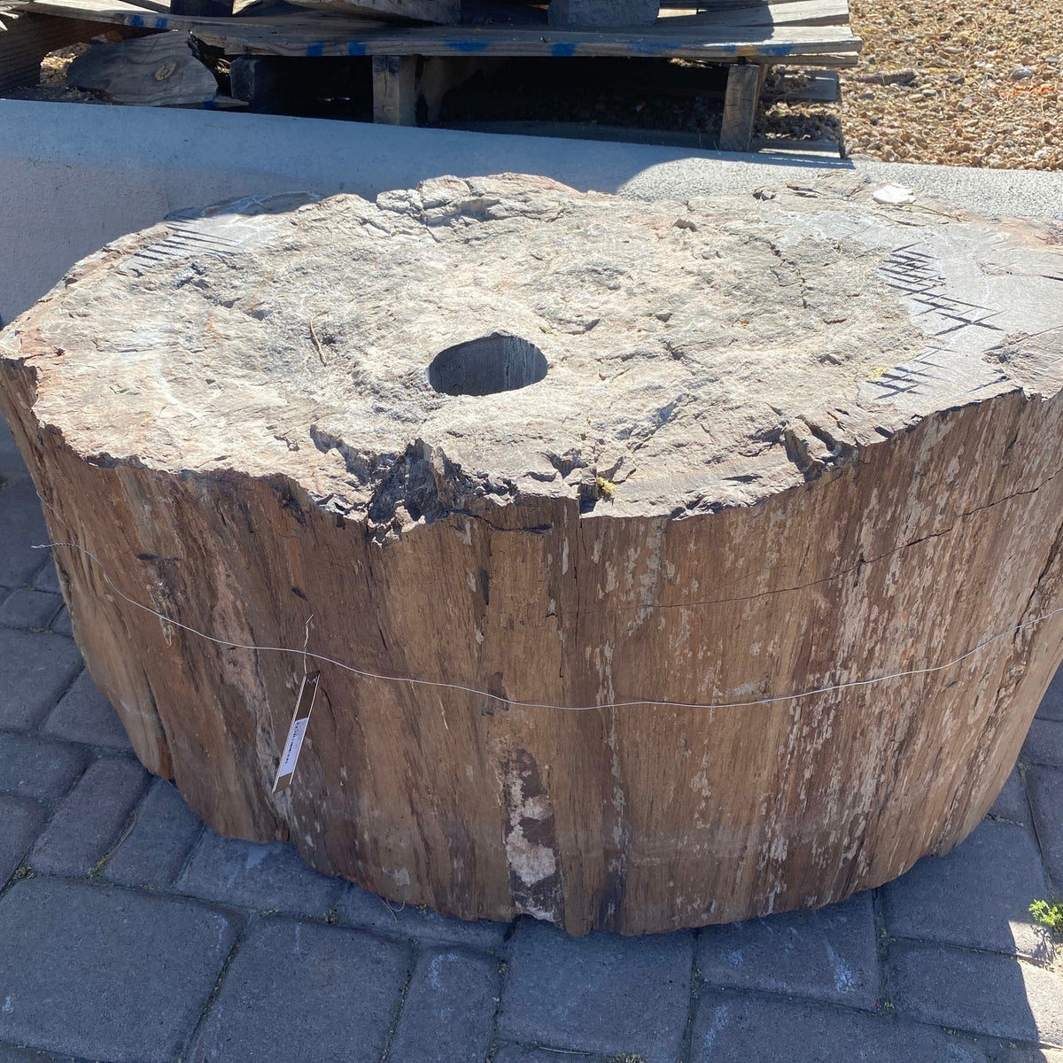 Arizona Petrified Wood Log Fountain (Large Hole) – Rare Earth Gallery